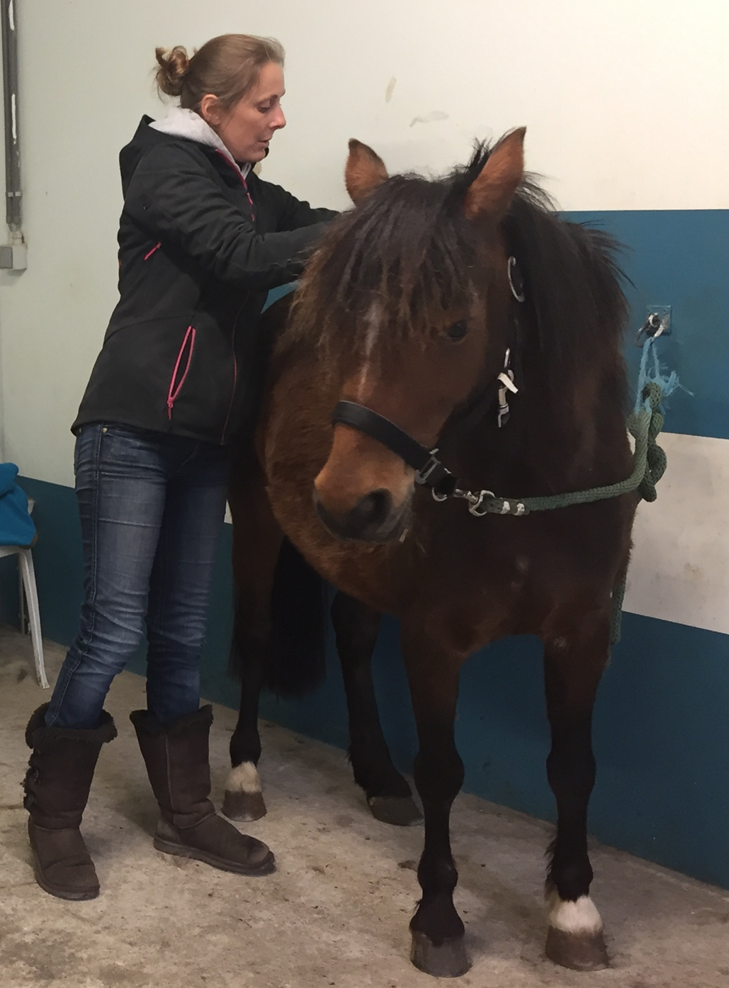 Emilie-2 | April Love – Holistic Horse Works, LLC