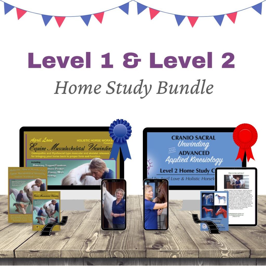 Level 1 & Level 2 Home Study Bundle [NO DVD] | April Love – Holistic ...