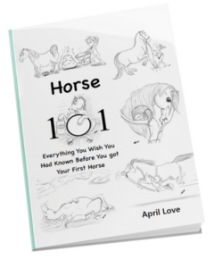 The Equine Ribcage: Anatomy, Biomechanics, and Connections | April Love ...