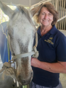Horse Massage Therapy Training Programs - April Love – Holistic Horse Works, LLC