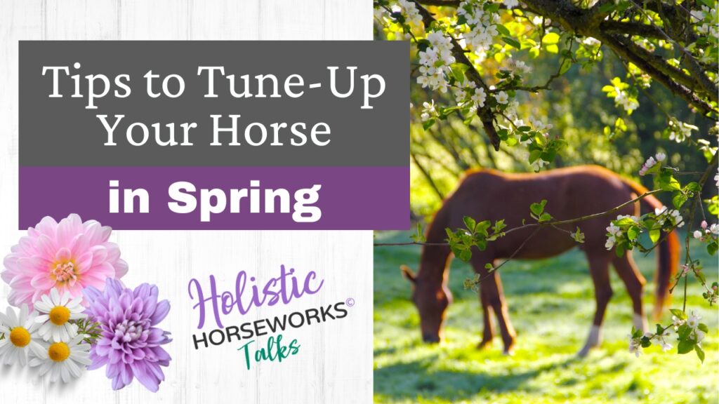 Tips to Tune-Up Your Horse in Spring - April Love – Holistic Horse ...