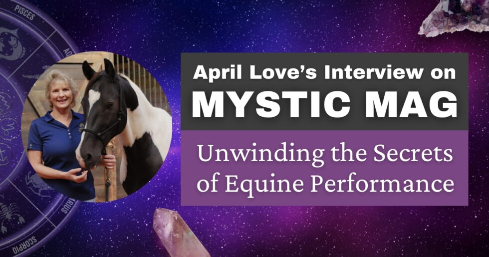 Mystac Mag Interview: Unwinding the Secrets of Equine Performance ...