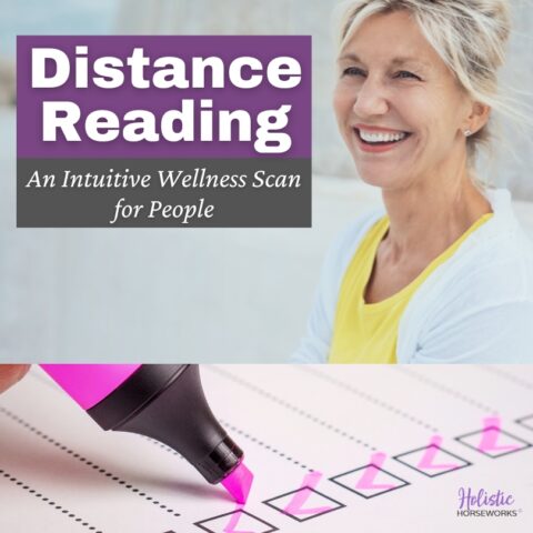 How a Distance Reading CHANGED Kimberly and Her Horse | April Love ...