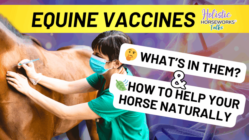 The Equine Ribcage: Anatomy, Biomechanics, and Connections | April Love ...